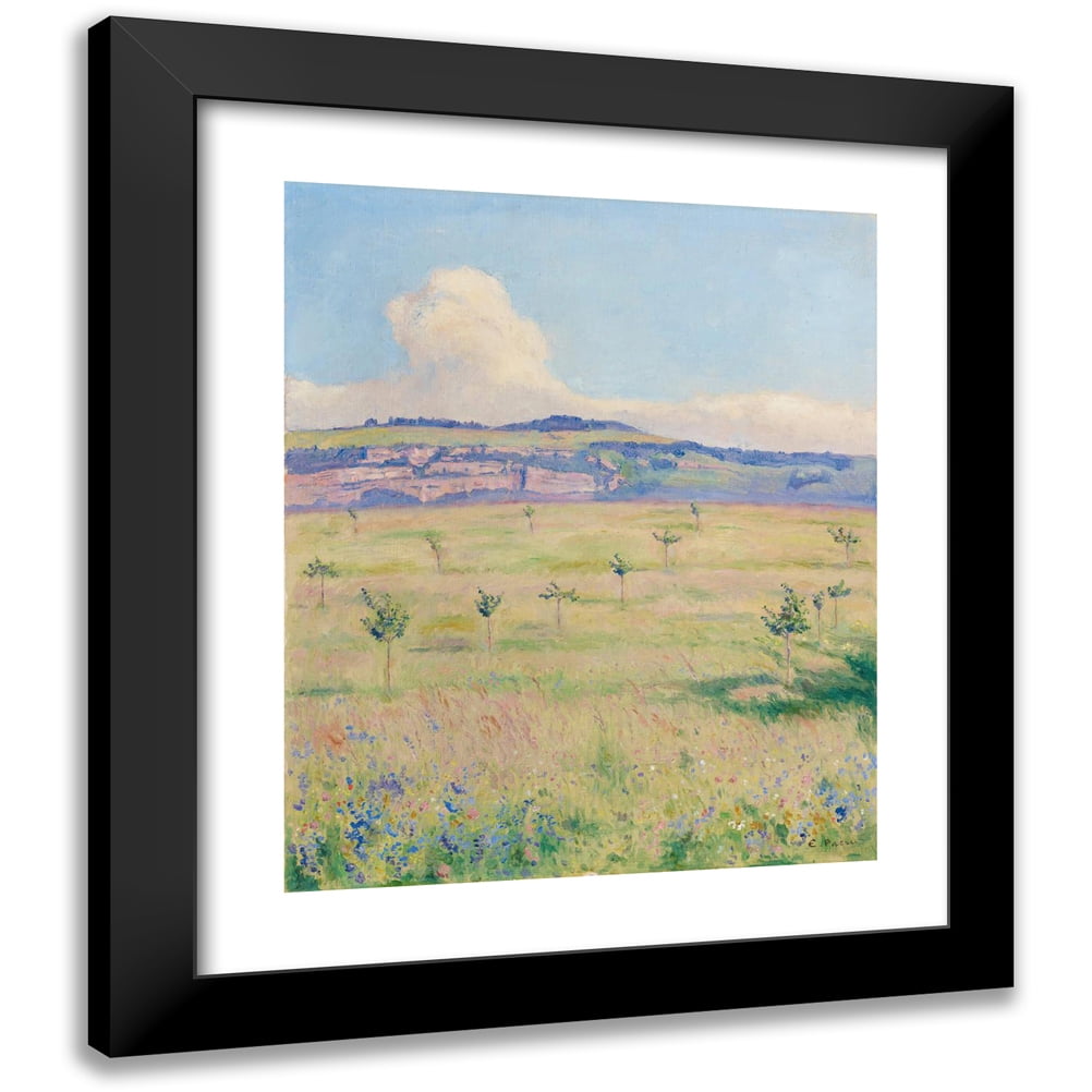 Emile Patru 12x14 Black Modern Framed Museum Art Print Titled - Saleve ...