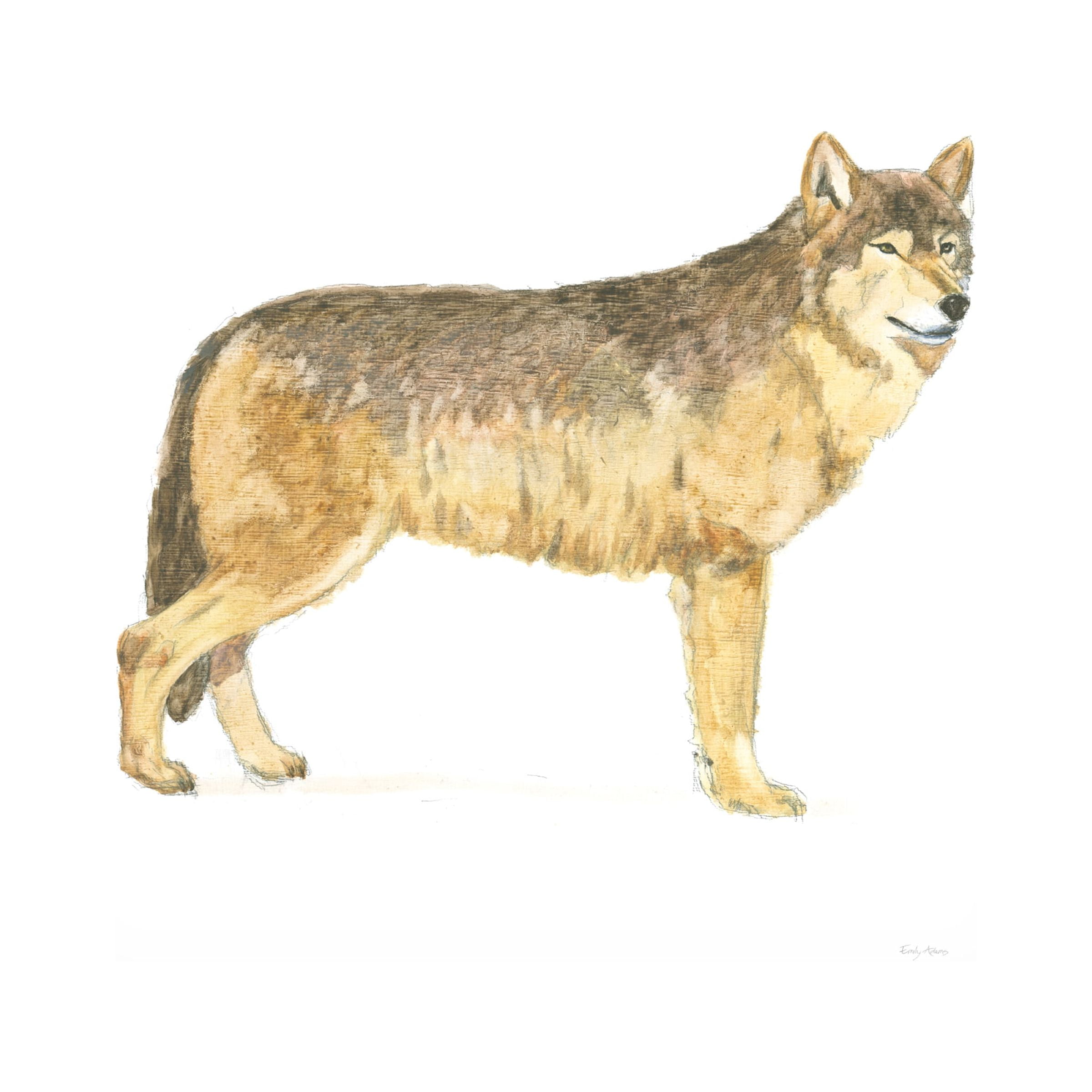 Emily Adams 'Natural Majesty IV' Canvas Art - Walmart.com
