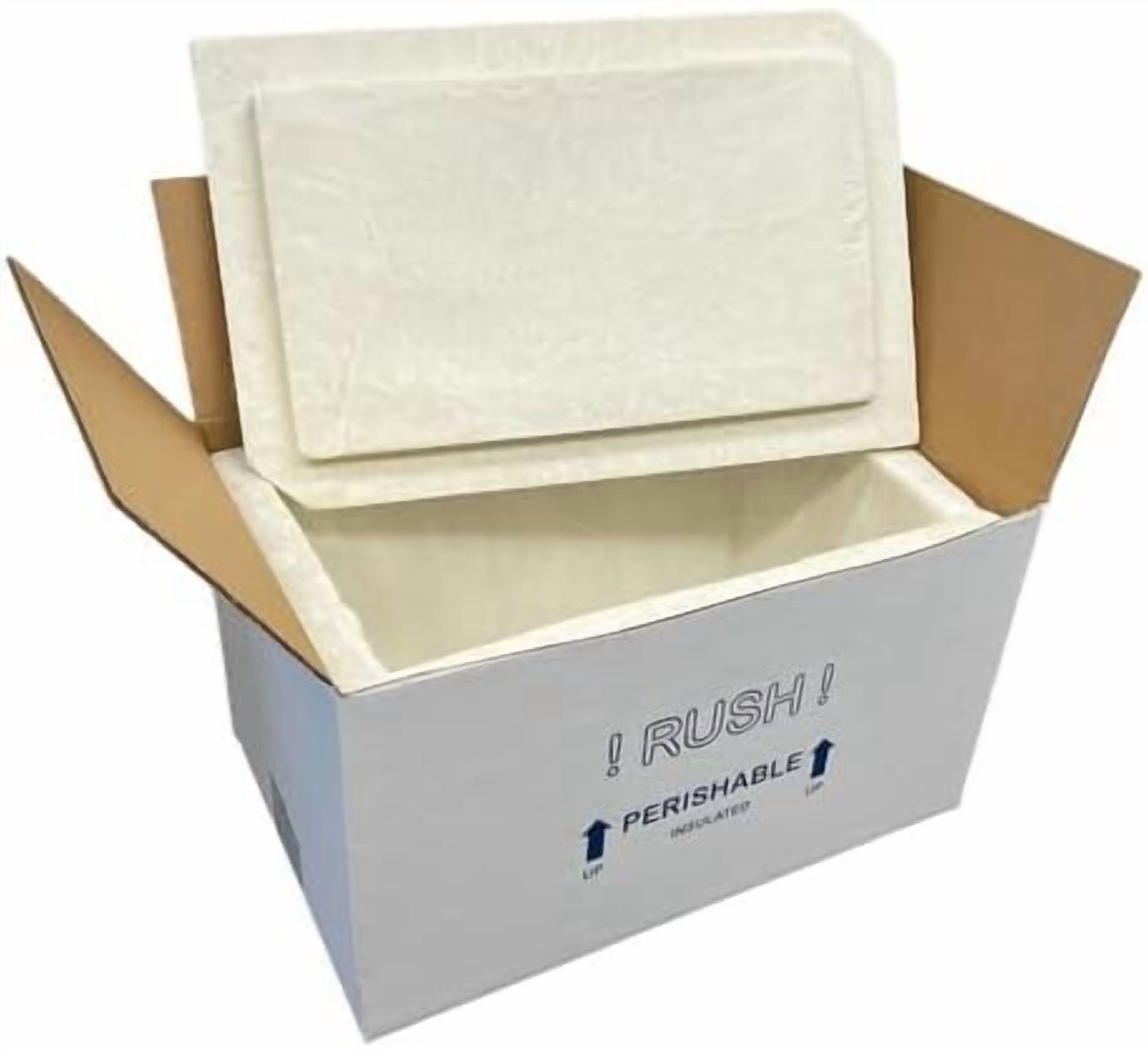 EmmChill UN20A Thermo Chill Insulated Carton with Foam Shipper, Medium ...