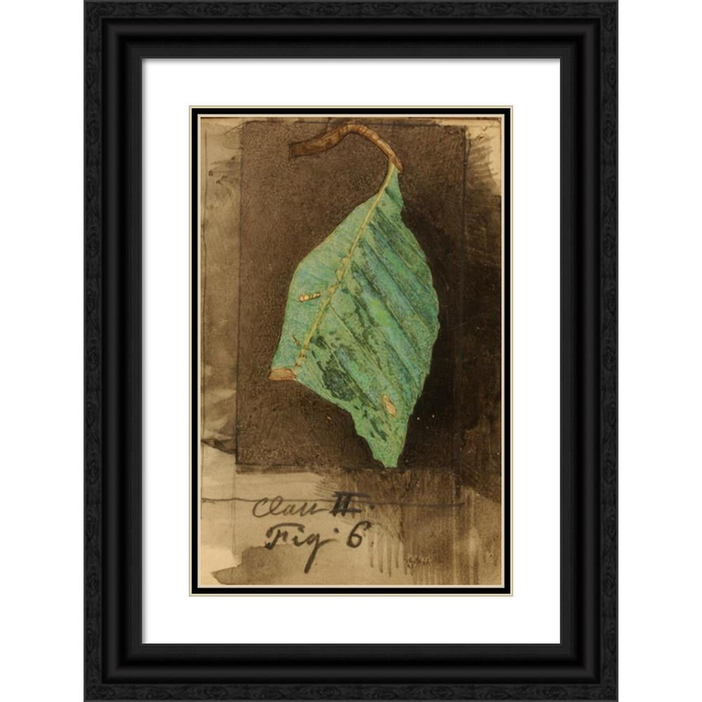Emma Beach Thayer 11x14 Black Ornate Wood Framed Double Matted Museum ...