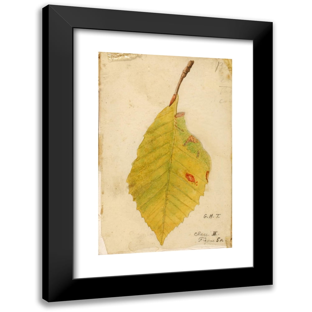 Emma Beach Thayer 13x18 Black Modern Framed Museum Art Print Titled ...