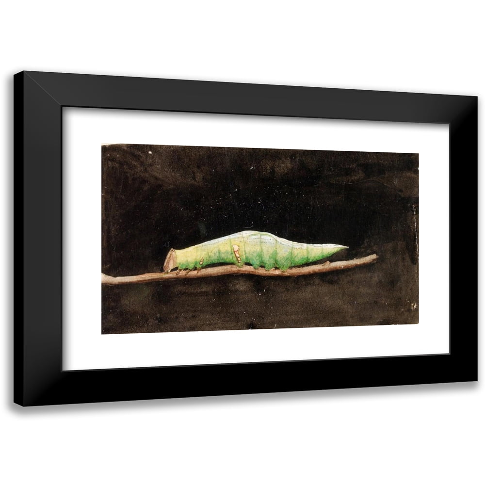 Emma Beach Thayer 14x10 Black Modern Framed Museum Art Print Titled ...