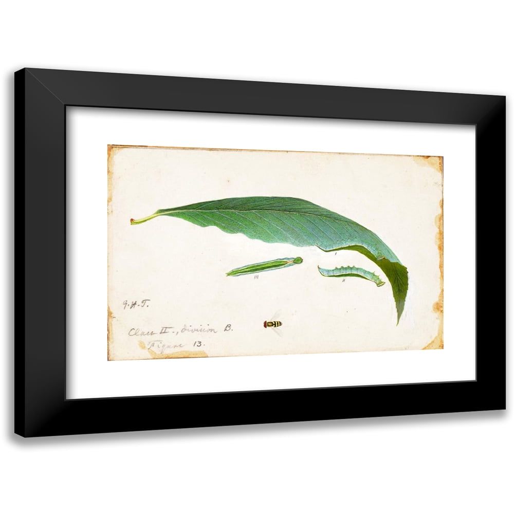 Emma Beach Thayer 14x11 Black Modern Framed Museum Art Print Titled ...