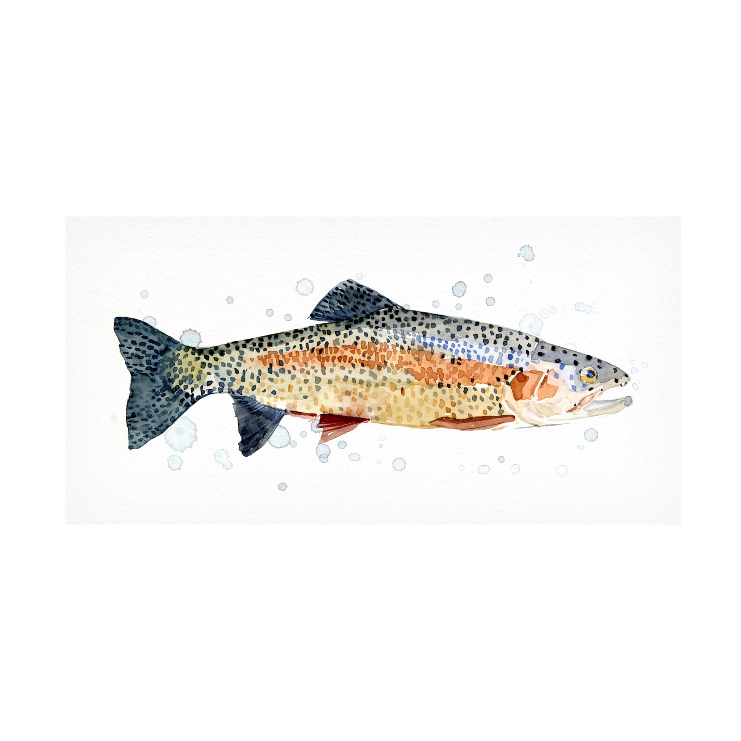 Emma Caroline 'Watercolor Rainbow Trout I' Canvas Art - Walmart.com
