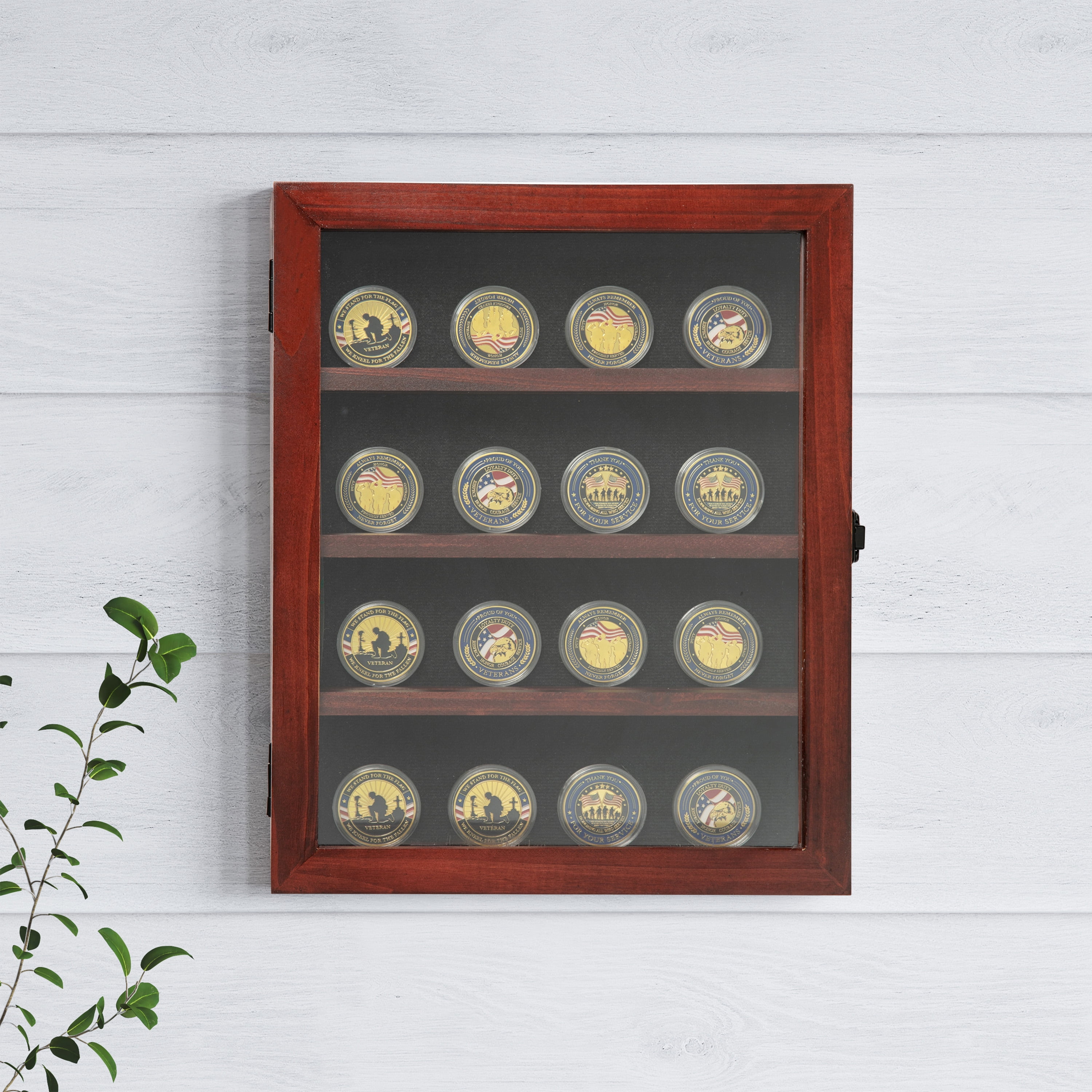 Emma + Oliver 11x14 Display Case for Medals, Badges, or Coins with ...