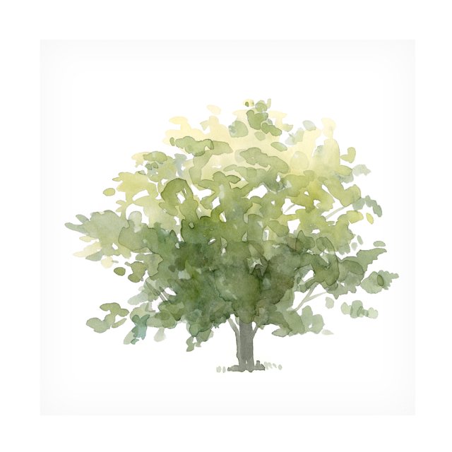 Emma Scarvey 'Lonely Oak I' Canvas Art - Walmart.com