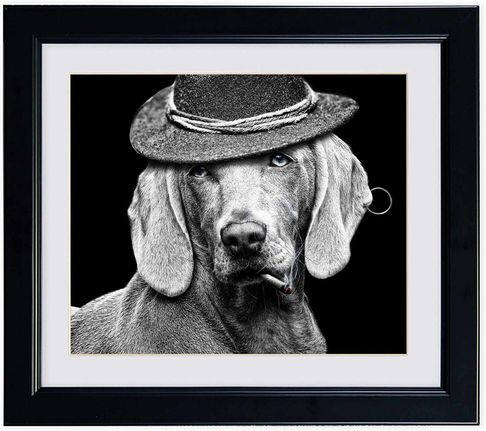 Dog in Fedora - Framed Photo - Walmart.com