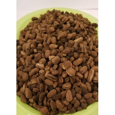 Slofoodgroup Gourmet Whole Nutmeg Grown in Sri Lanka (2 Ounces ...