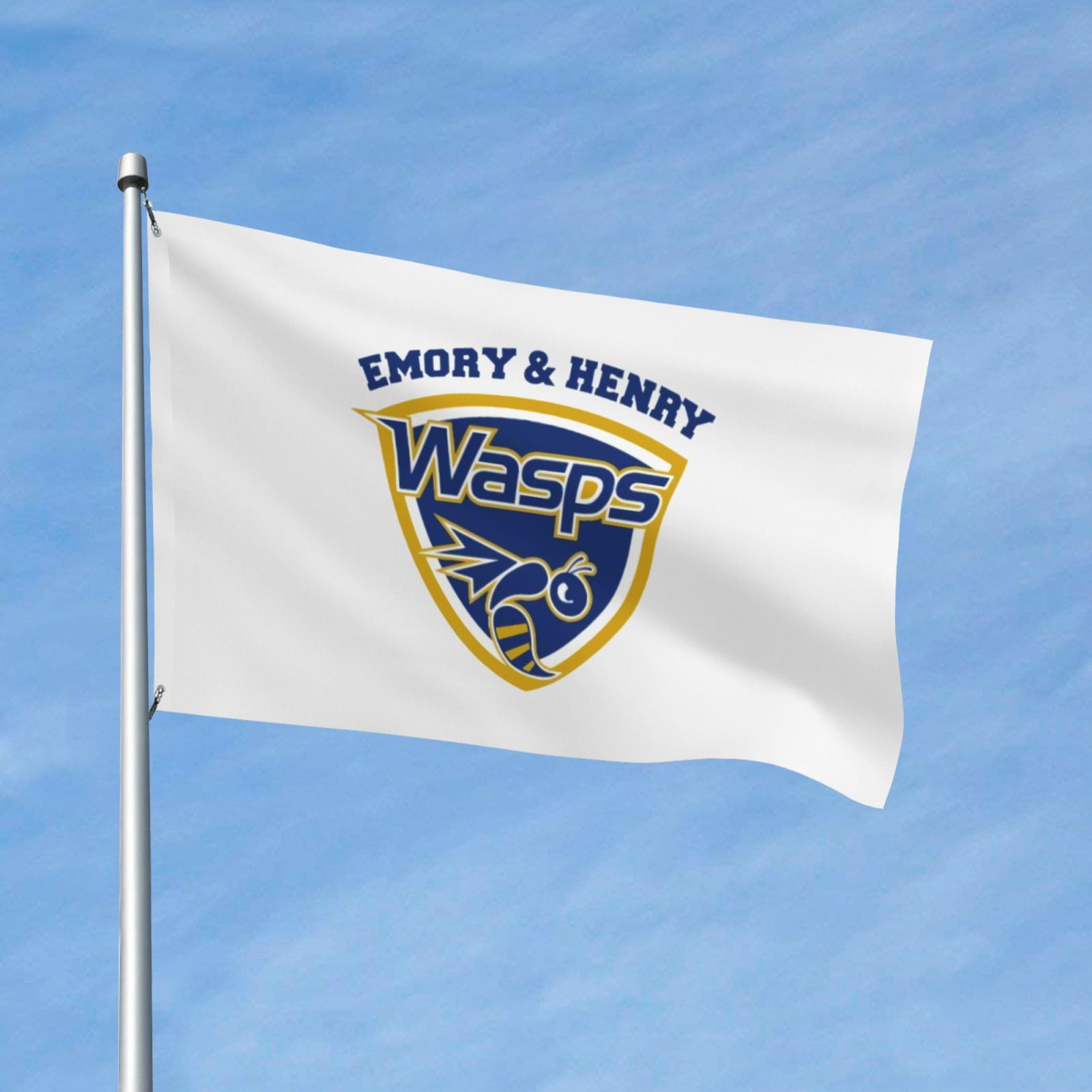 Emory & Henry College Logo Banner 3x5 Ft Flag,Double Sided Printed Flag ...