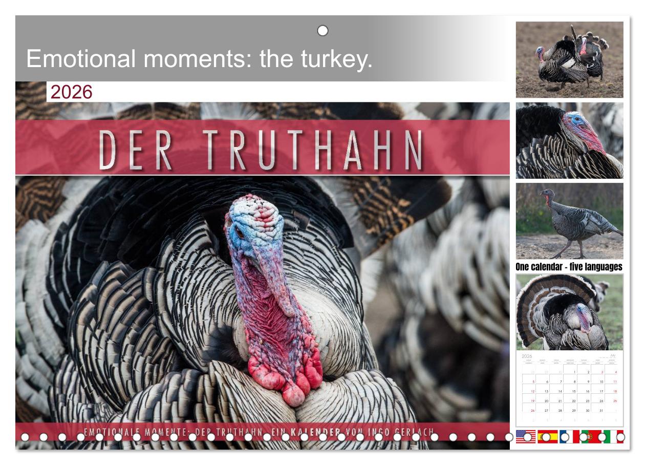 Emotional moments: the turkey. (Monthly Wall Calendar 2026 11.7 x 16.5 ...