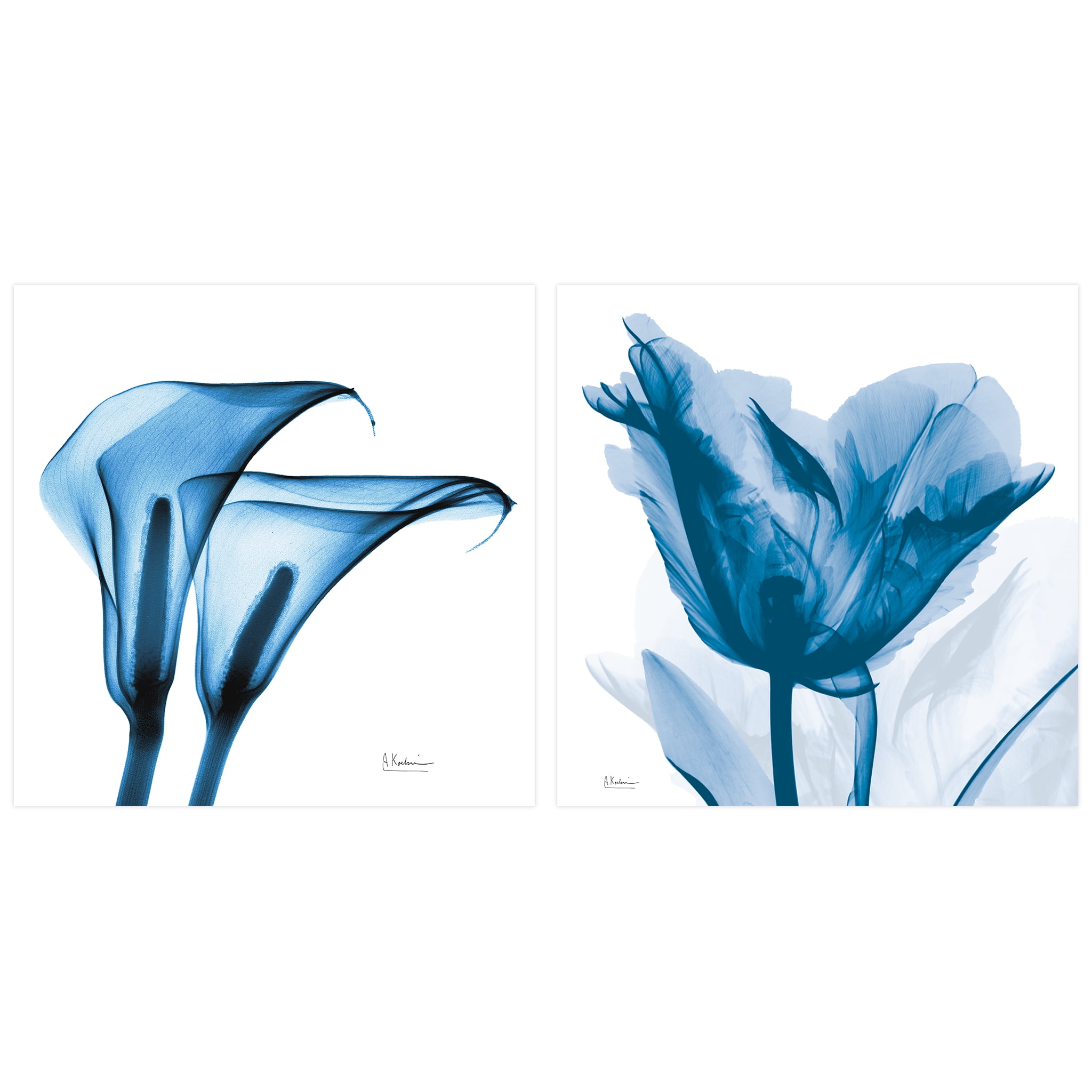 Empire Art Direct Lusty Blue Tulip & Indigo Calla Lililes Unframed ...