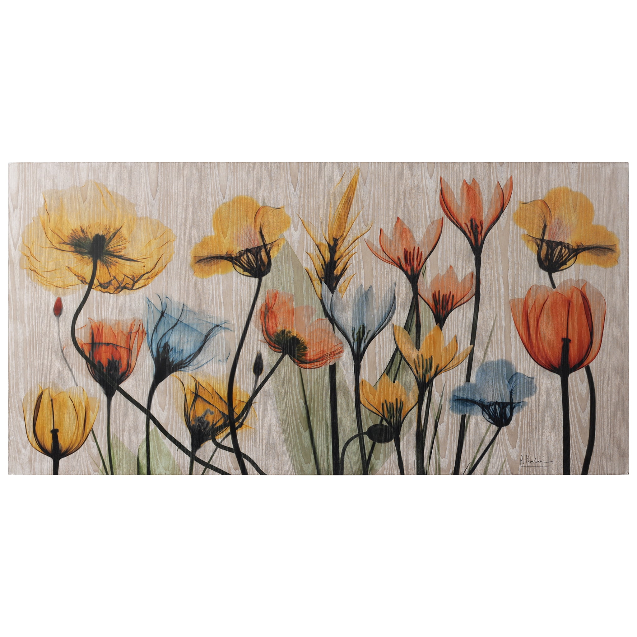 Empire Art Floral Rainbow Flowers Photography, by Albert Koetsier ...