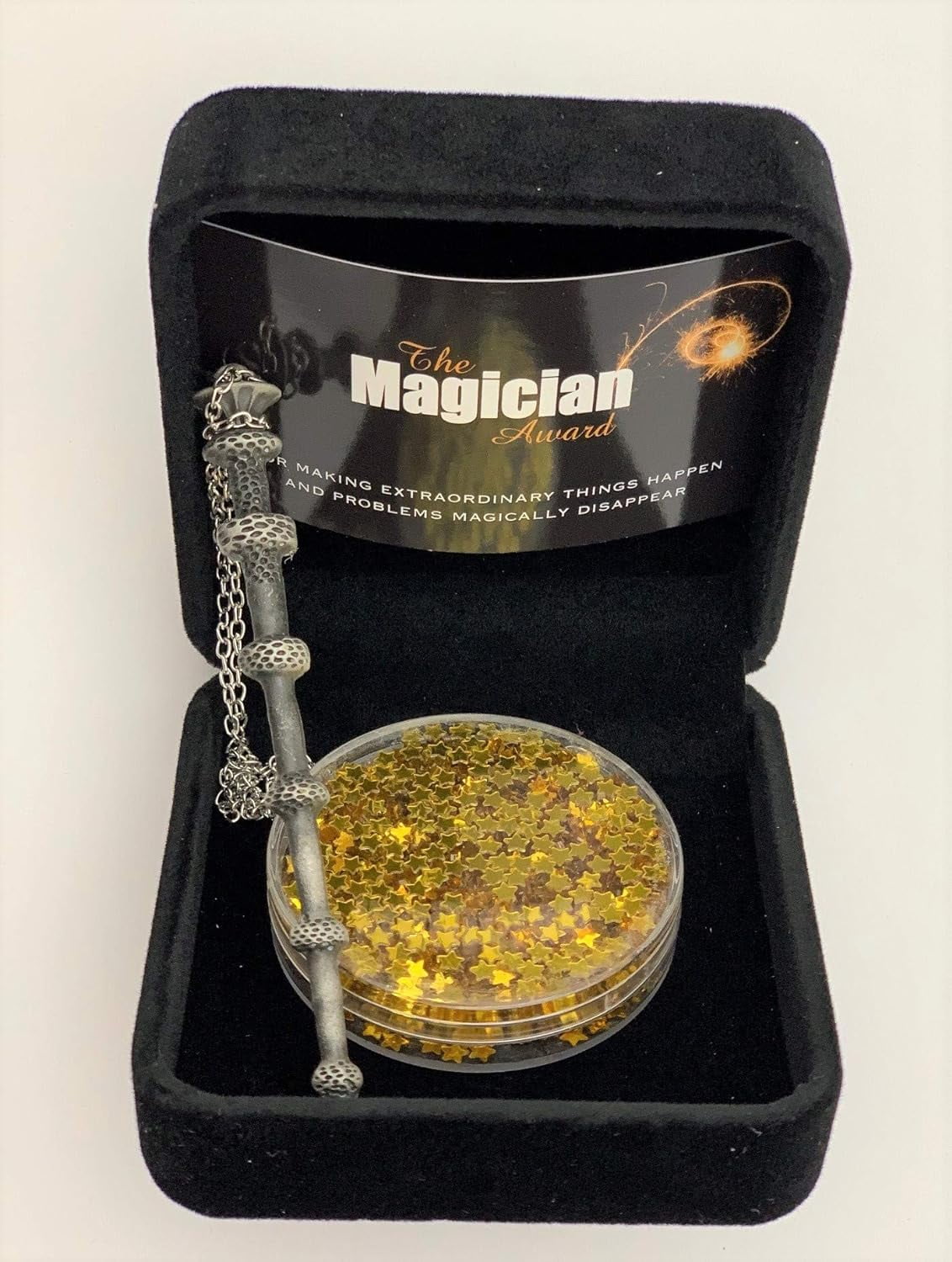 Employee Staff Appreciation Individual Magician Award with Glossy ...