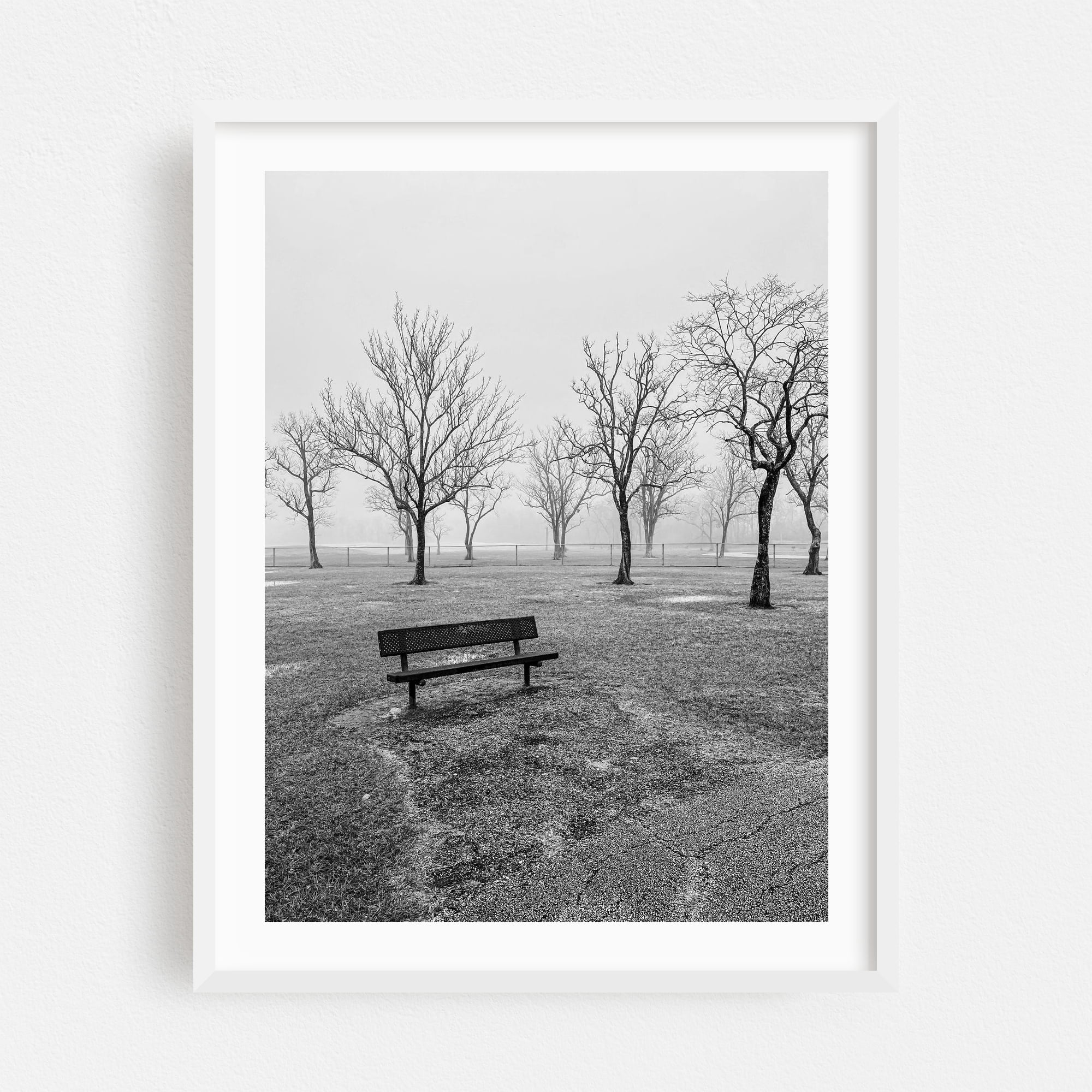 Empty Bench at Tom Bass Park - Houston Texas Photography Black and ...