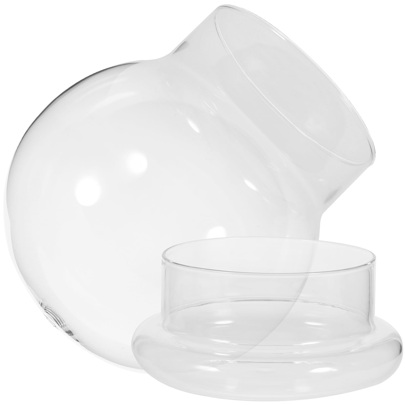 TABLZONE Transparent Glass Terrarium Jar for Kitchen - Creative Shaped ...