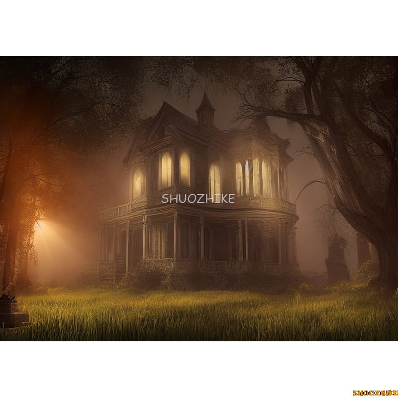 Empty Room Archway Gold Heav Gates Photography Backdrops Props Castle ...