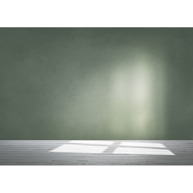 Empty Room Classic Interior Wall With Mouldings Photography Backdrops ...