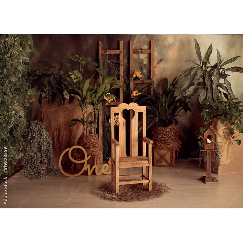 Empty Room Classic Interior Wall With Mouldings Photography Backdrops ...