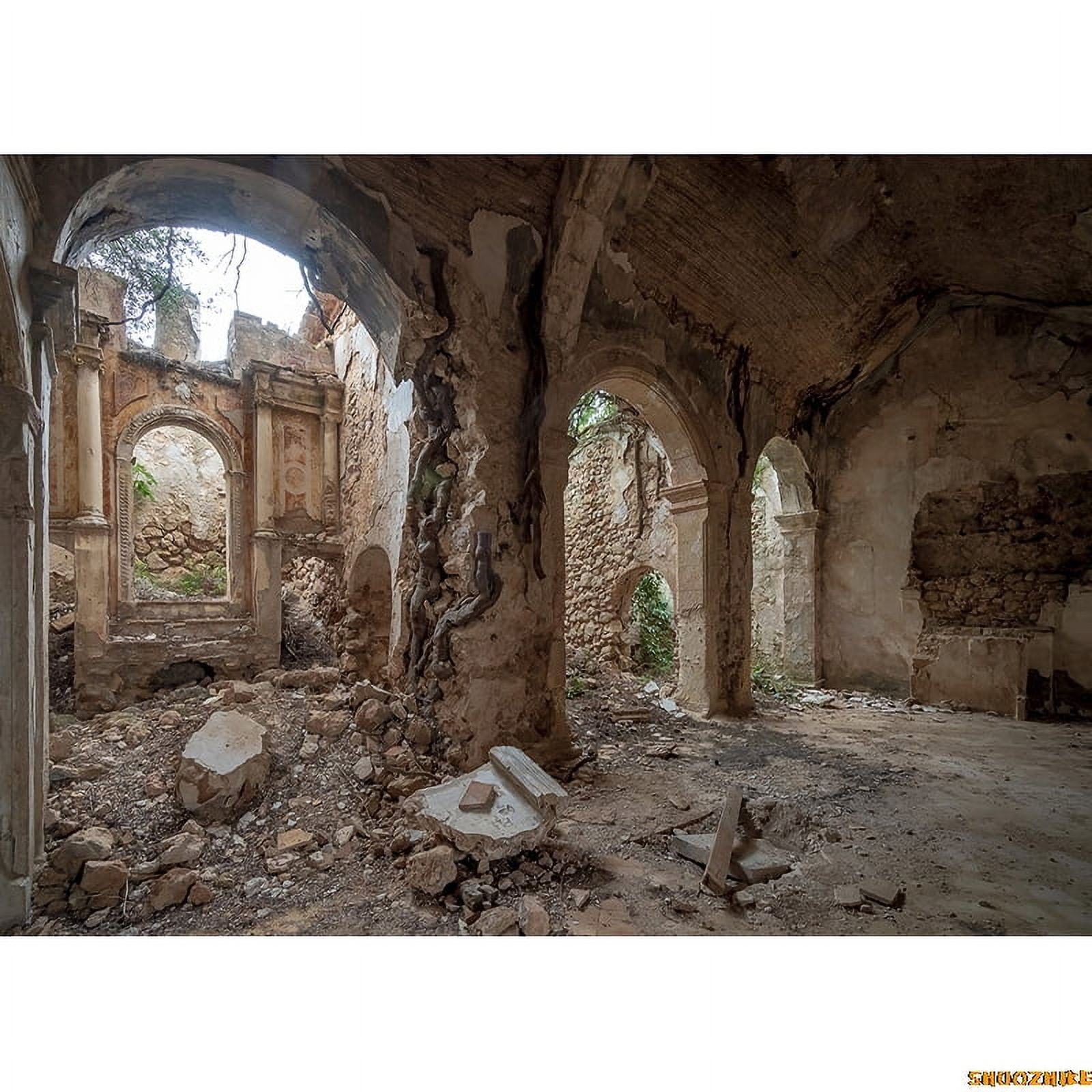 Empty Room Classic Interior Wall With Ornated Mouldings Photography ...