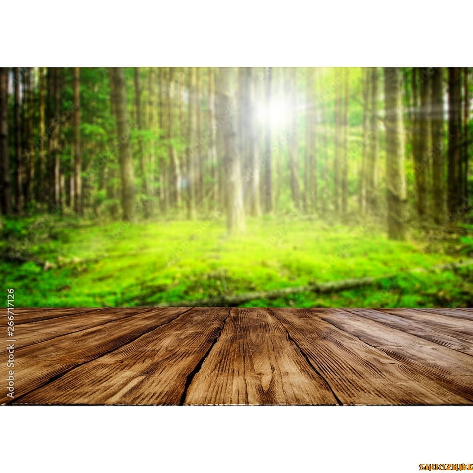 Empty Wood Flooring On Gre Forest Photography Backdrops Props Morning ...