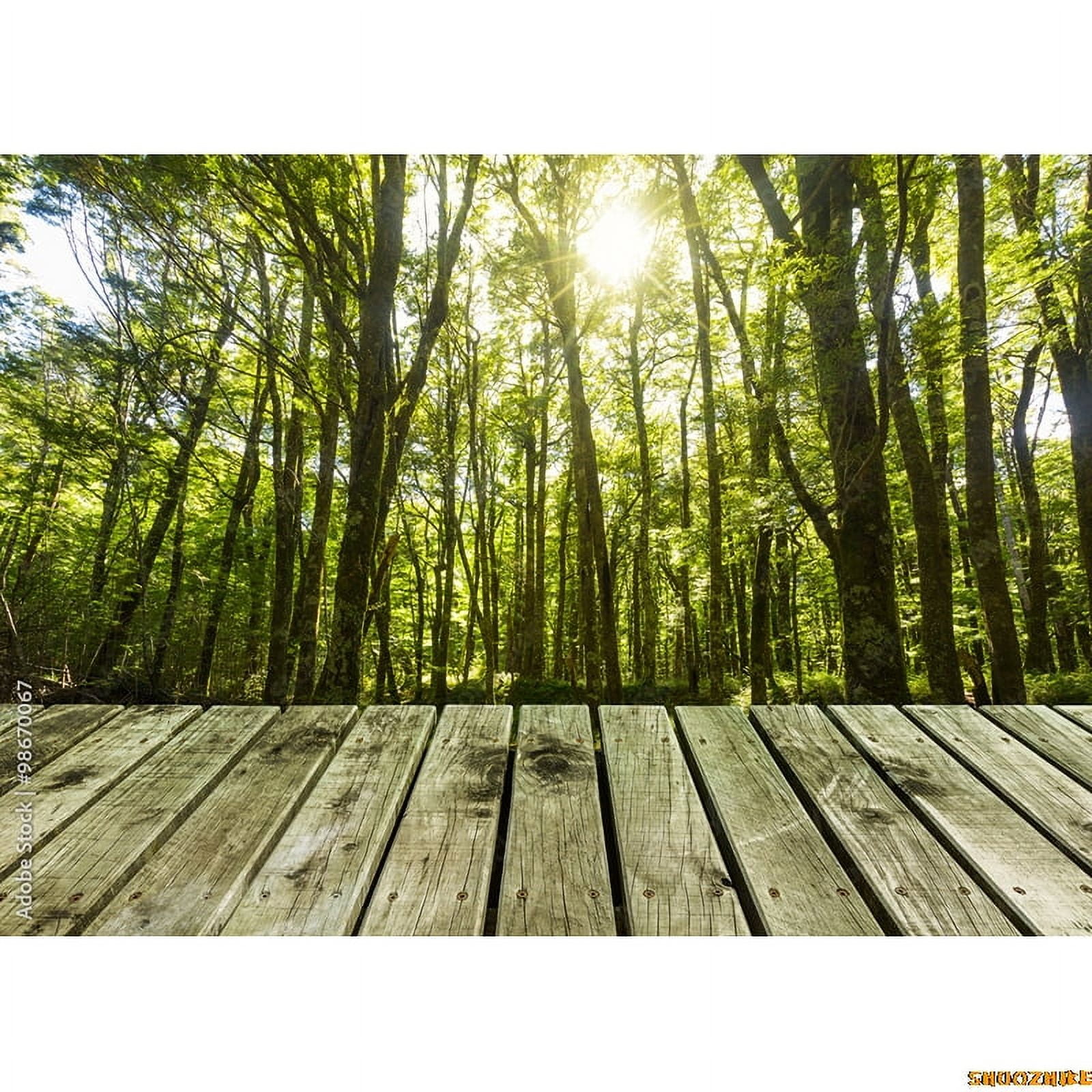 Empty Wood Flooring On Gre Forest Photography Backdrops Props Morning ...