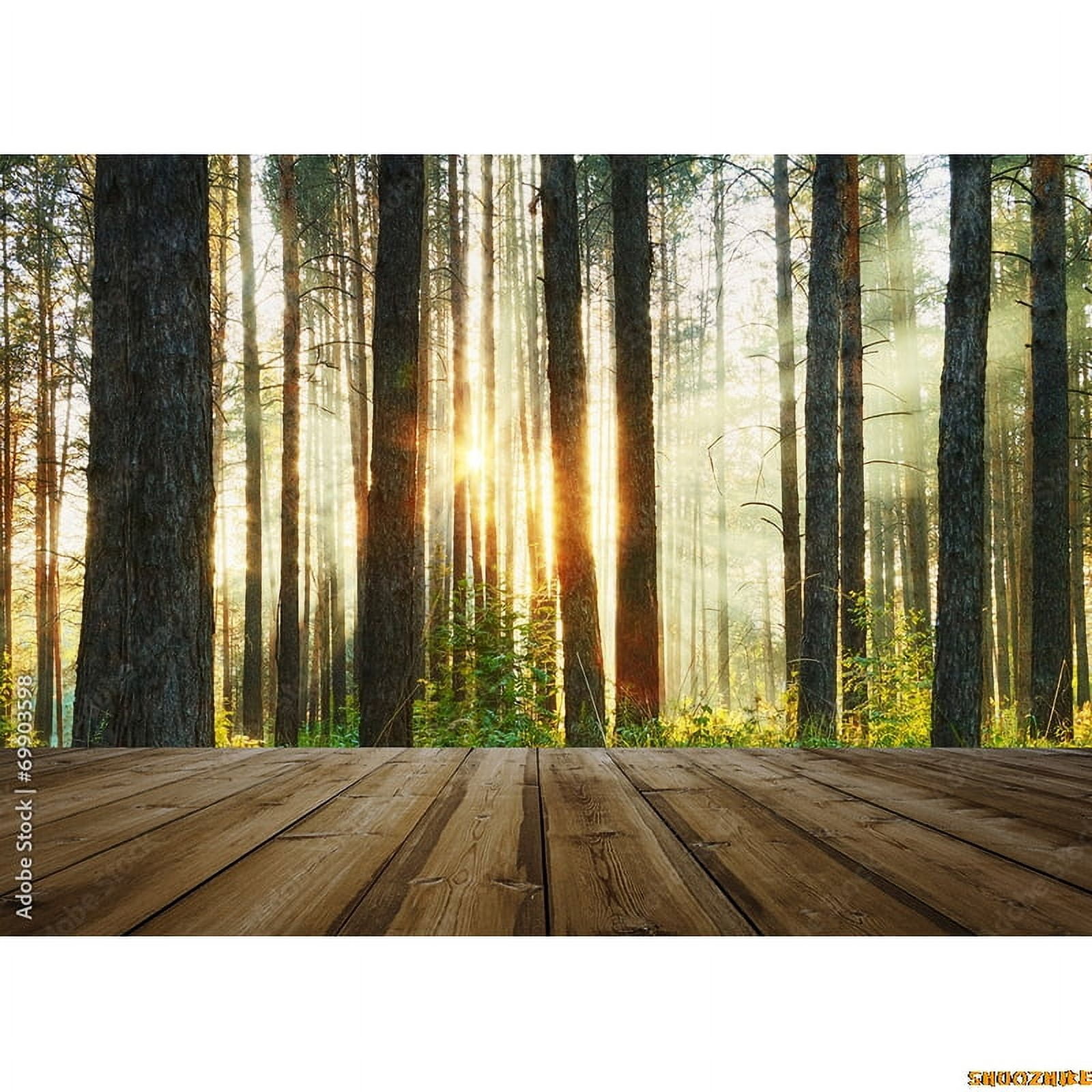 Empty Wood Flooring On Gre Forest Photography Backdrops Props Morning ...
