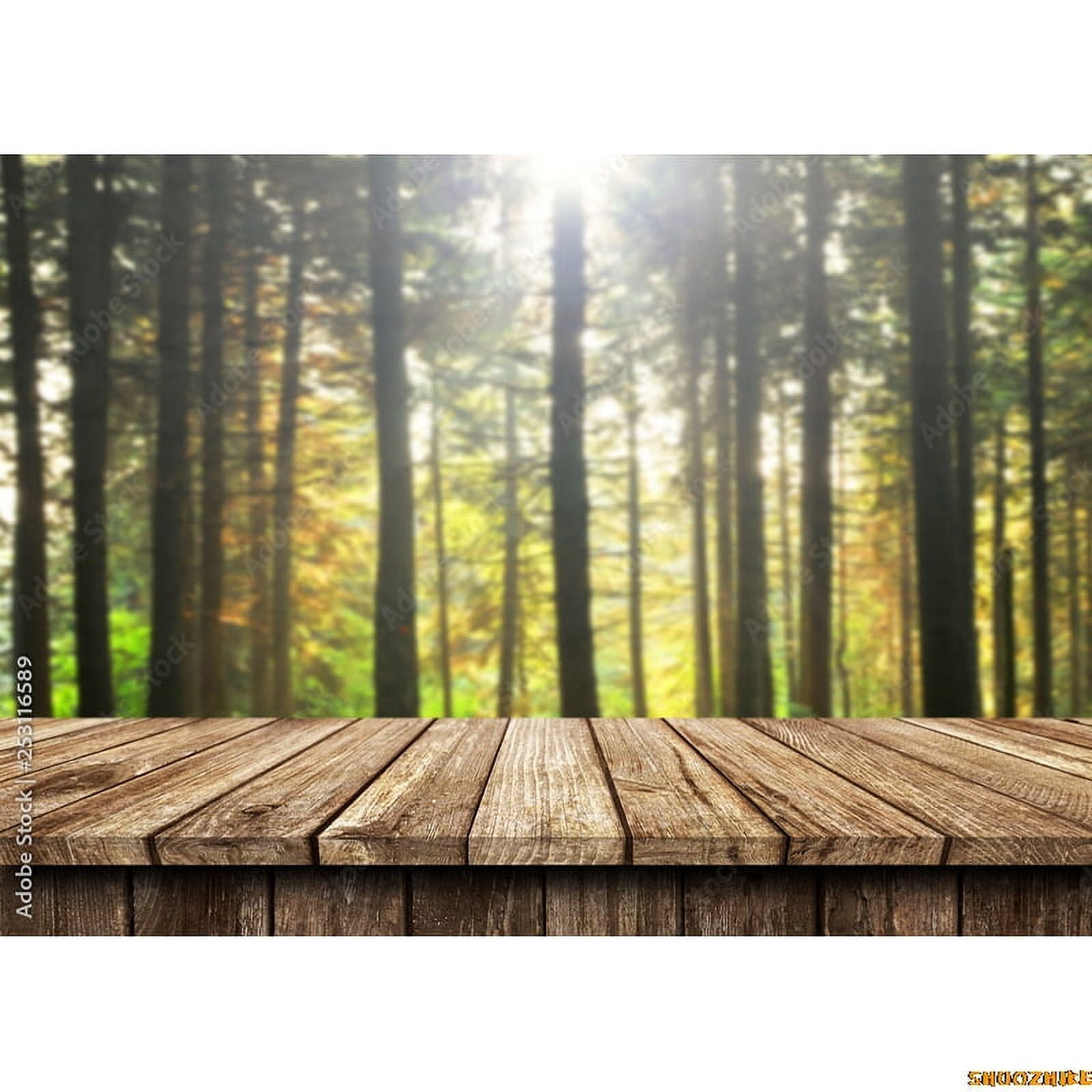Empty Wood Flooring On Gre Forest Photography Backdrops Props Morning ...