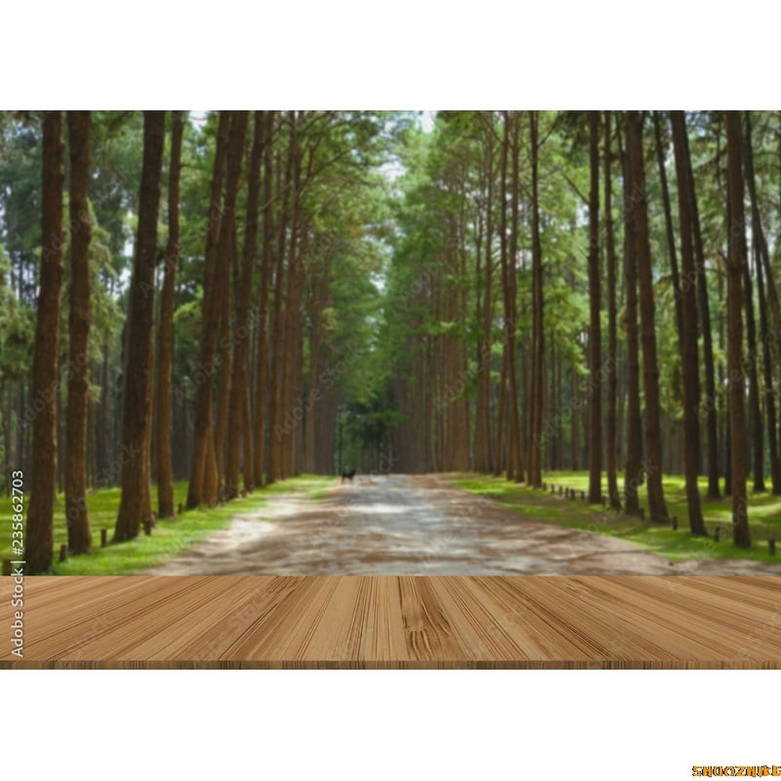 Empty Wood Flooring On Gre Forest Photography Backdrops Props Morning ...