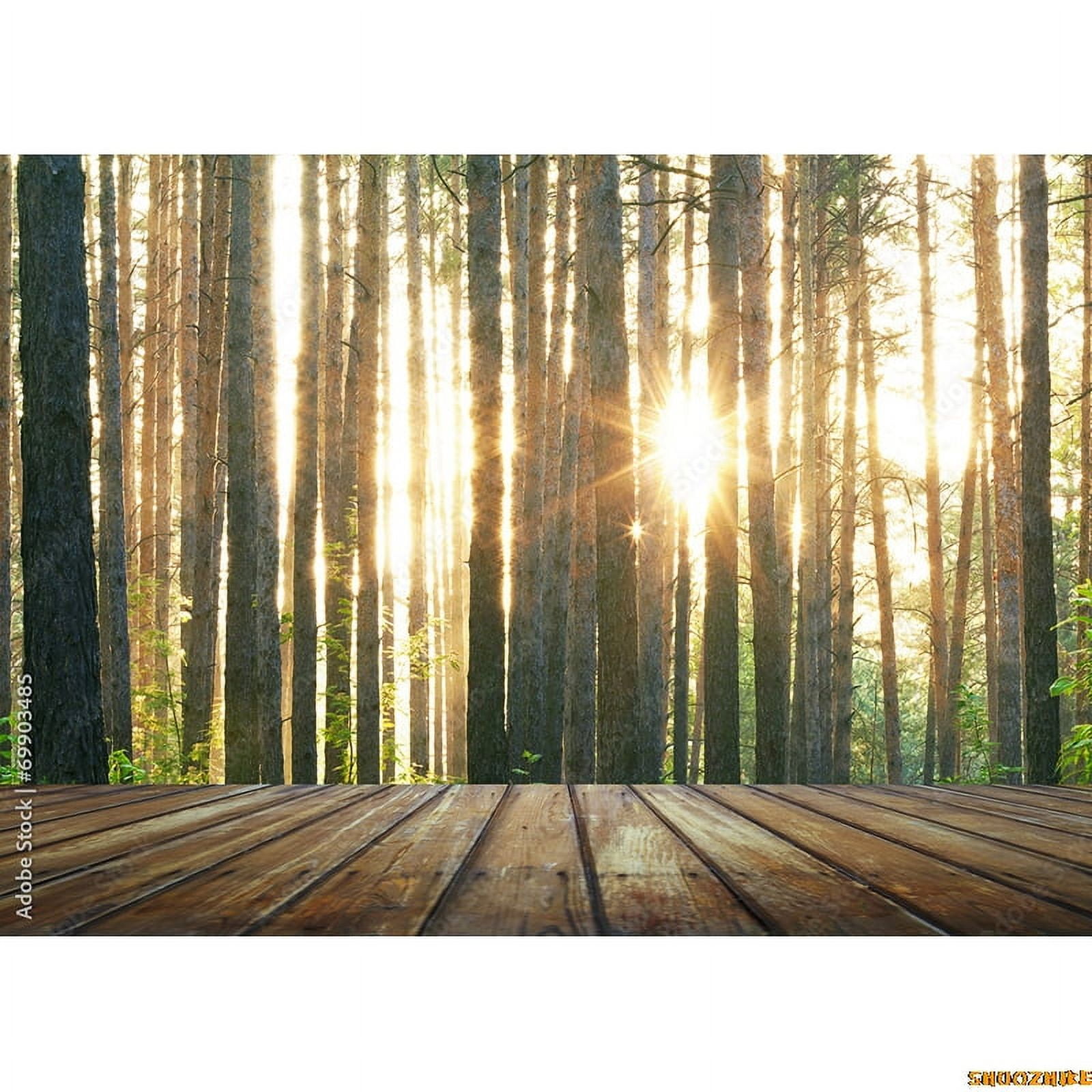 Empty Wood Flooring On Gre Forest Photography Backdrops Props Morning ...