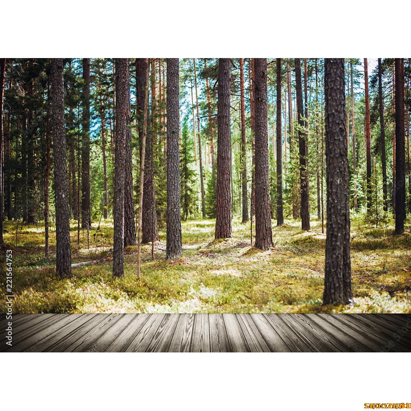 Empty Wood Flooring On Gre Forest Photography Backdrops Props Morning ...