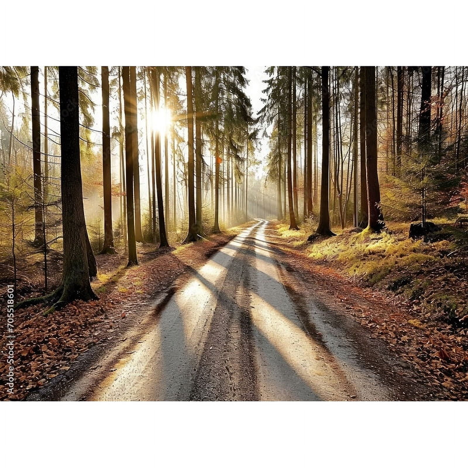 Empty Wood Flooring On Gre Forest Photography Backdrops Props Morning ...
