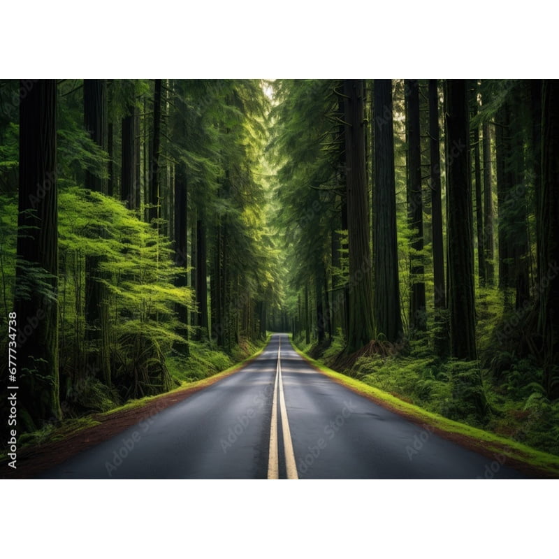 Empty Wood Flooring On Gre Forest Photography Backdrops Props Morning ...