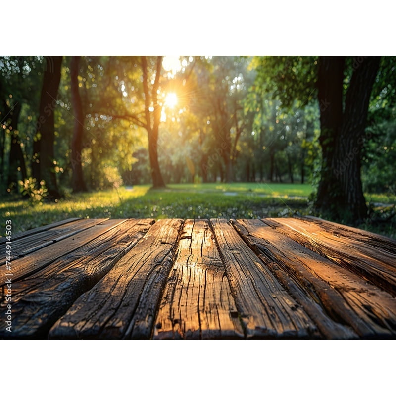 Empty Wood Flooring On Gre Forest Photography Backdrops Props Morning ...