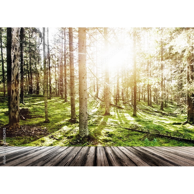 Empty Wooden Flooring On Green Forest Photography Backdrops Props ...