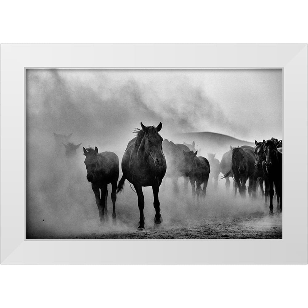 Emre Erol, M. 14x11 White Modern Wood Framed Museum Art Print Titled - Untitled - Walmart.com