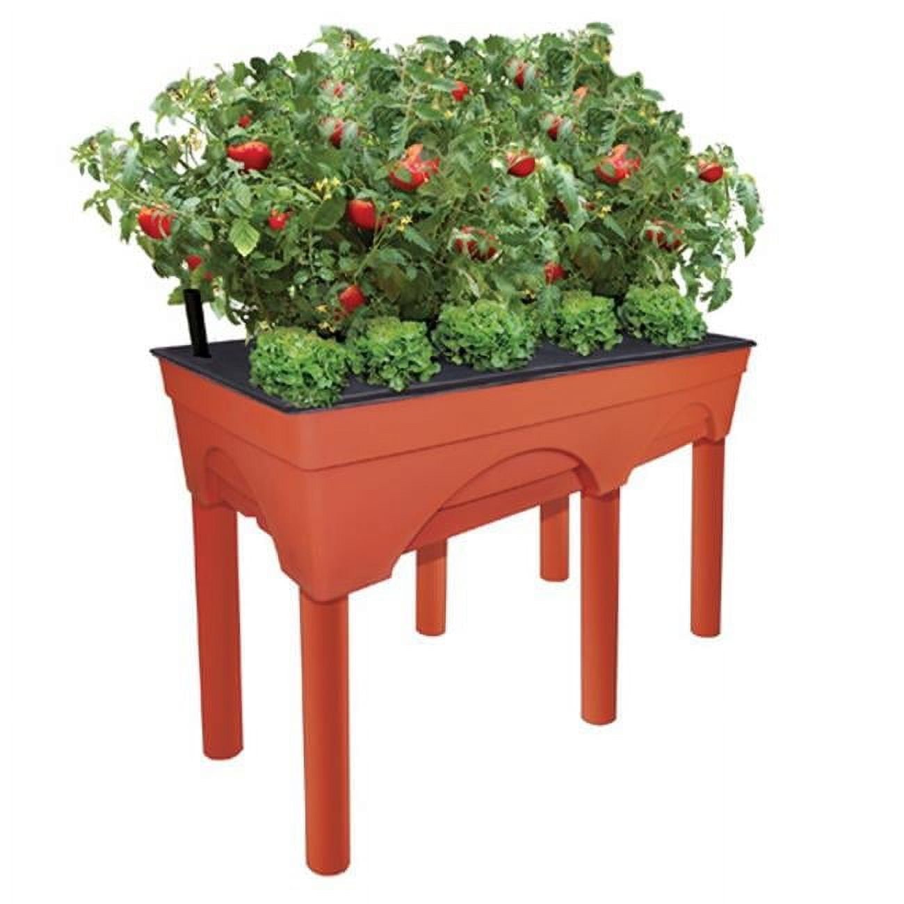 Emsco Group Big Easy Picker Elevated Garden Kit, 20" x 48", High ...