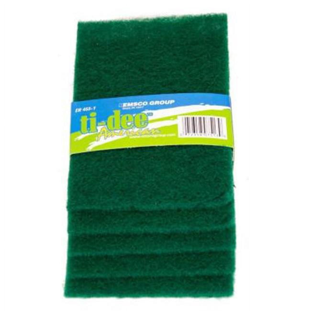 EmscoGroup 7513-1 Mesh Scour Pad - Walmart.com