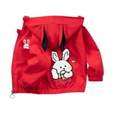 EnJoCho Toddler Boys Girls Cute Bun𝗇y Graphic Hooded Jacket Long Sleeve ...