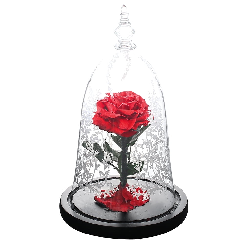 Enchante Real Preserved Forever Rose, 11" LED Light Beauty and the ...