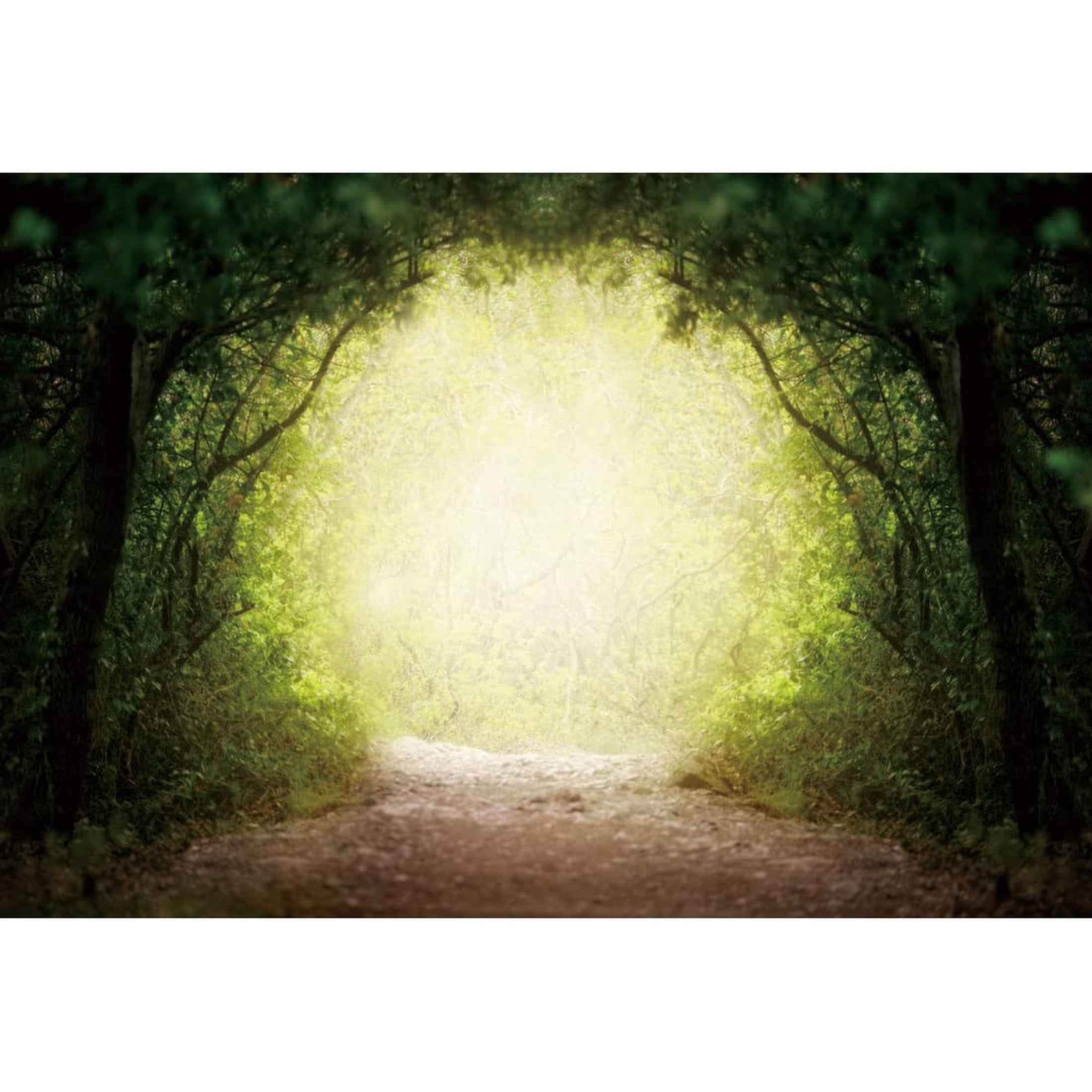 Enchanted Forest Fantasy Backdrop for Baby Showers and Birthday Parties ...