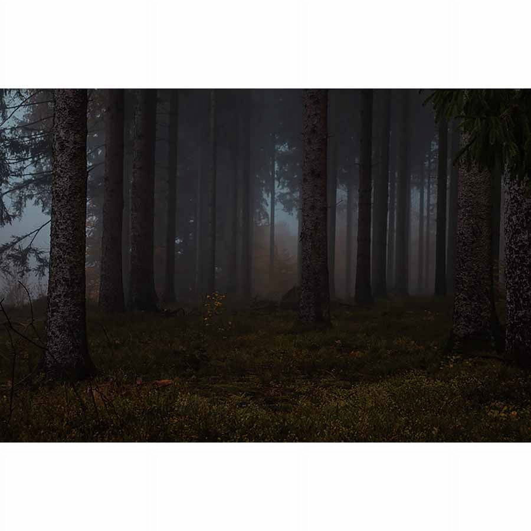 Enchanted Forest Photography Backdrop Natural Spring Summer Autumn ...