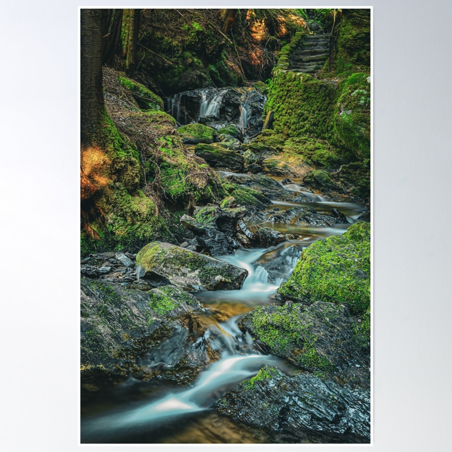 Enchanted Forest Poster Wall Art, Modern Wall Decor, 12x18 UNFRAMED ...