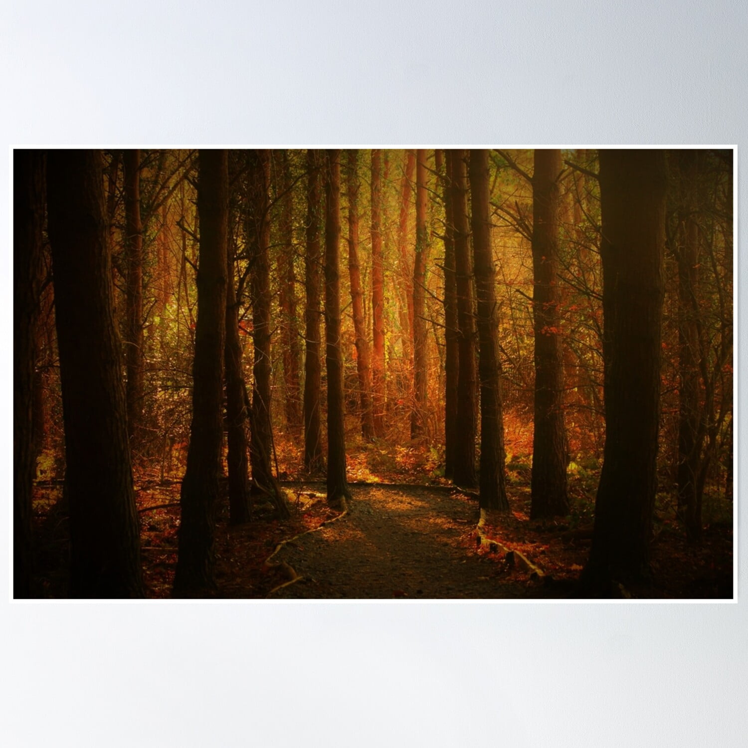 Enchanted Forest Poster Wall Art, Modern Wall Decor, 8x12 UNFRAMED ...