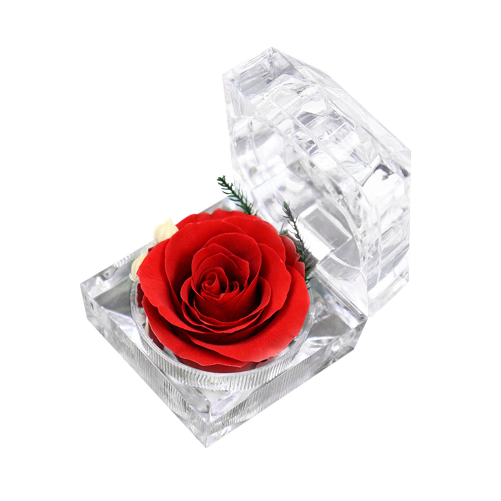 Enchanted Rose in Acrylic Crystal Ring Box, Handmade Real Preserved ...