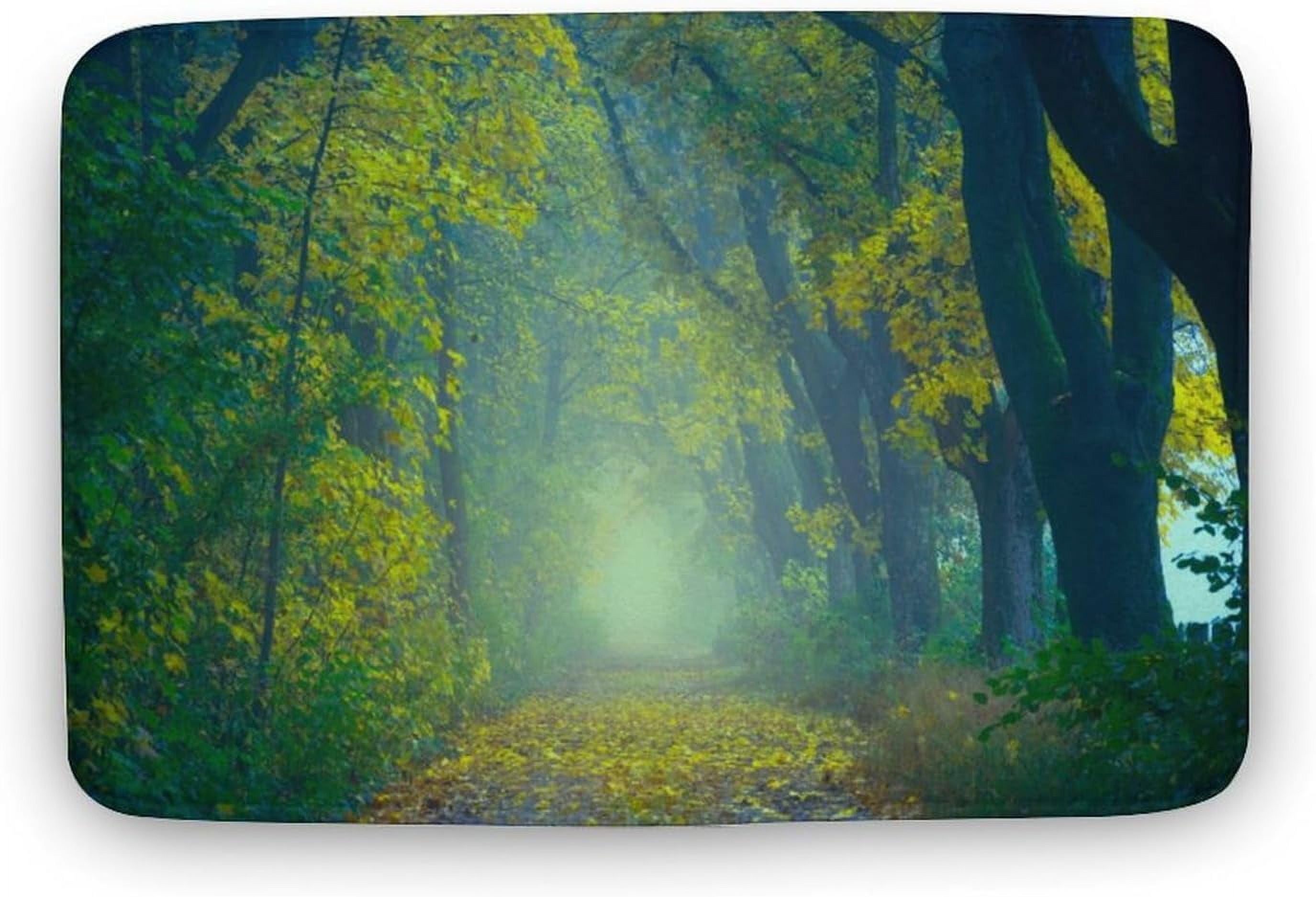 Enchanting Forest Doormat Indoor Outdoor with Welcome Door Mats for ...