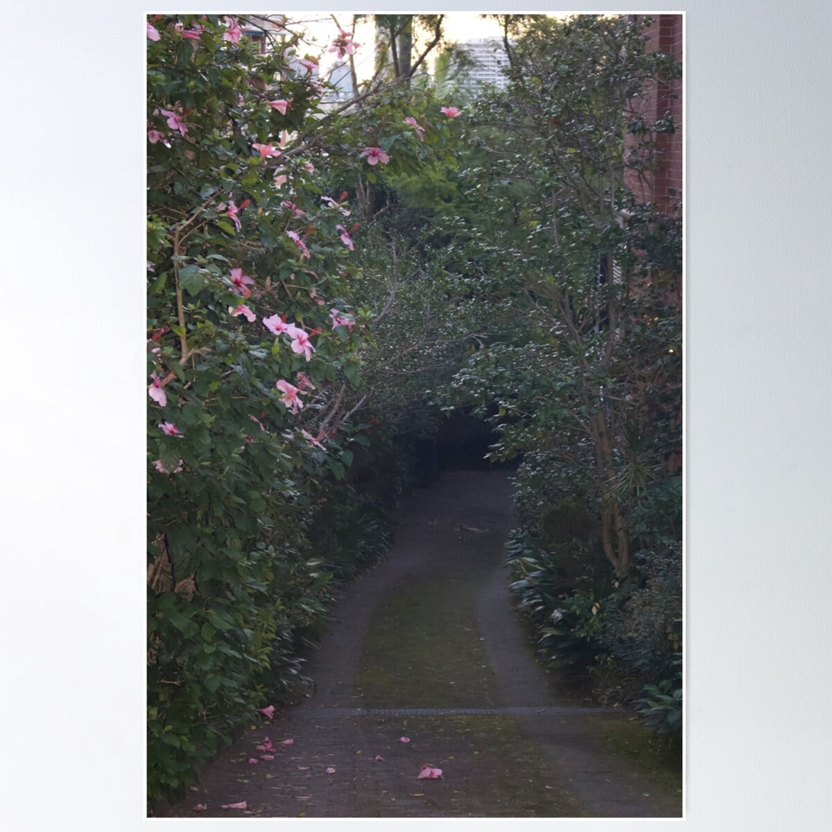 Enchanting Laneway Poster Wall Art, Modern Wall Decor For Living Room ...