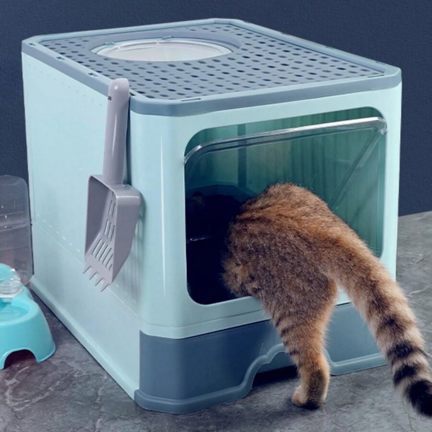 Enclosed Cat Litter Box, Large Litter Box for Big Cats, Covered Kitty ...