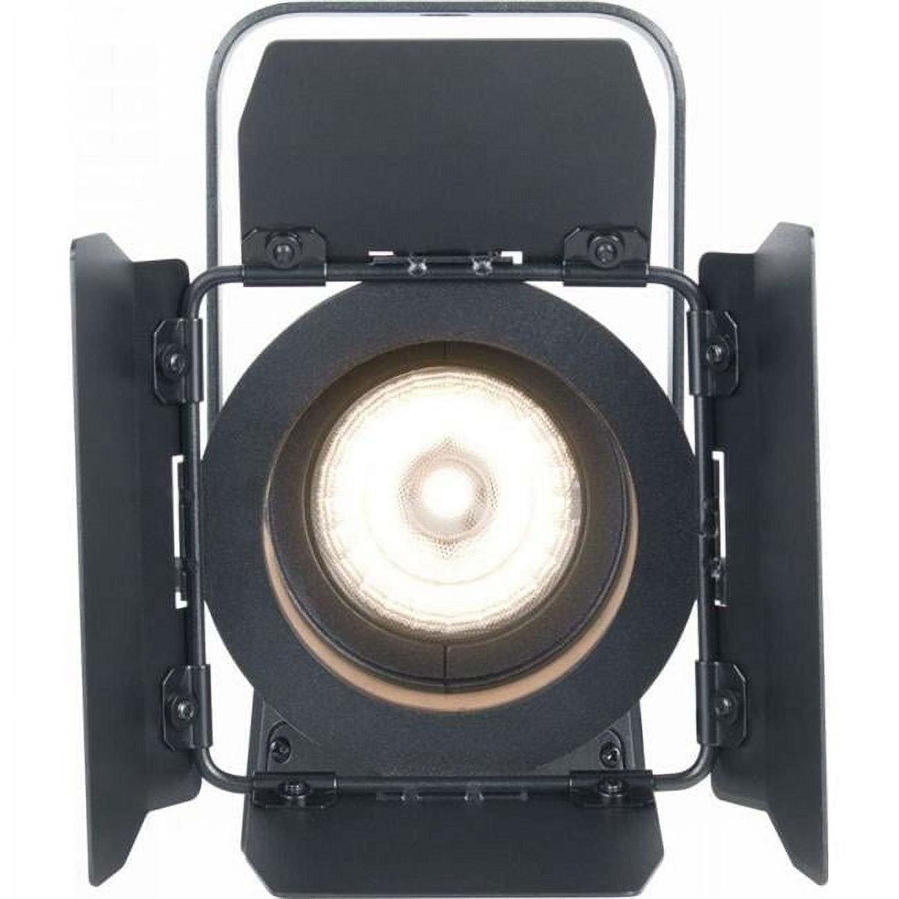 Encore FR20 DTW Lighting Fixture Light with 2 in. Fresnel Lens ...