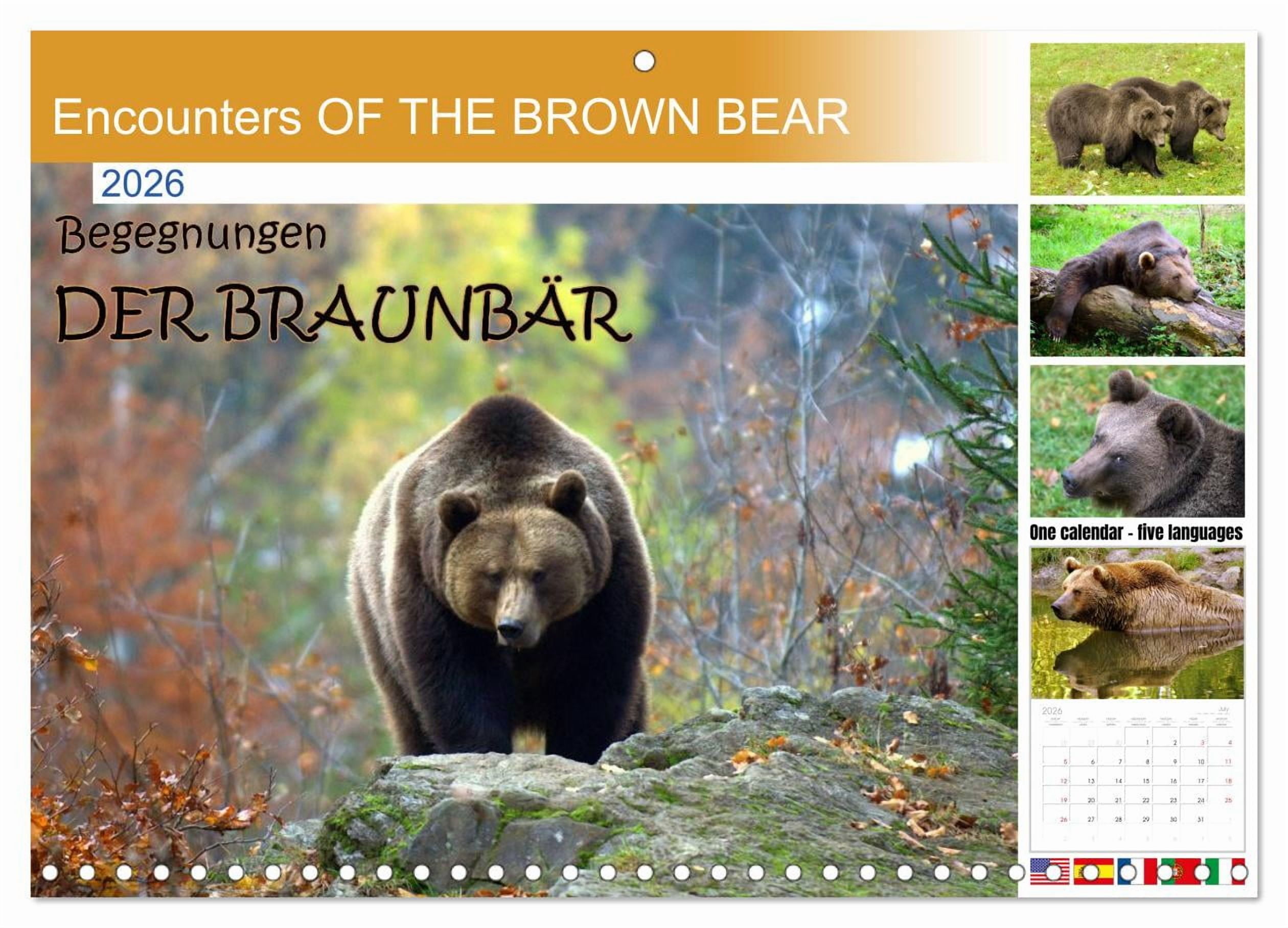 Encounters OF THE BROWN BEAR (Monthly Wall Calendar 2026 11.7 x 16.5 ...