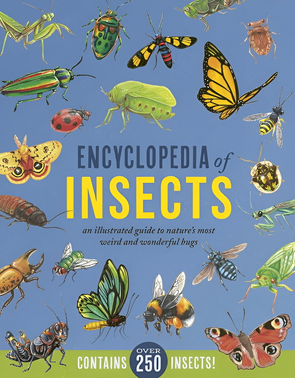 Encyclopedia of Insects : An Illustrated Guide to Nature’s Most Weird ...